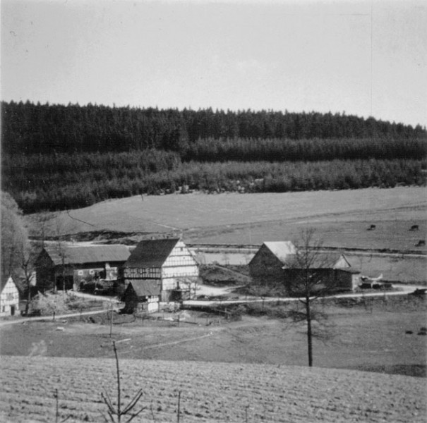 Geschichte - Hof Dambach